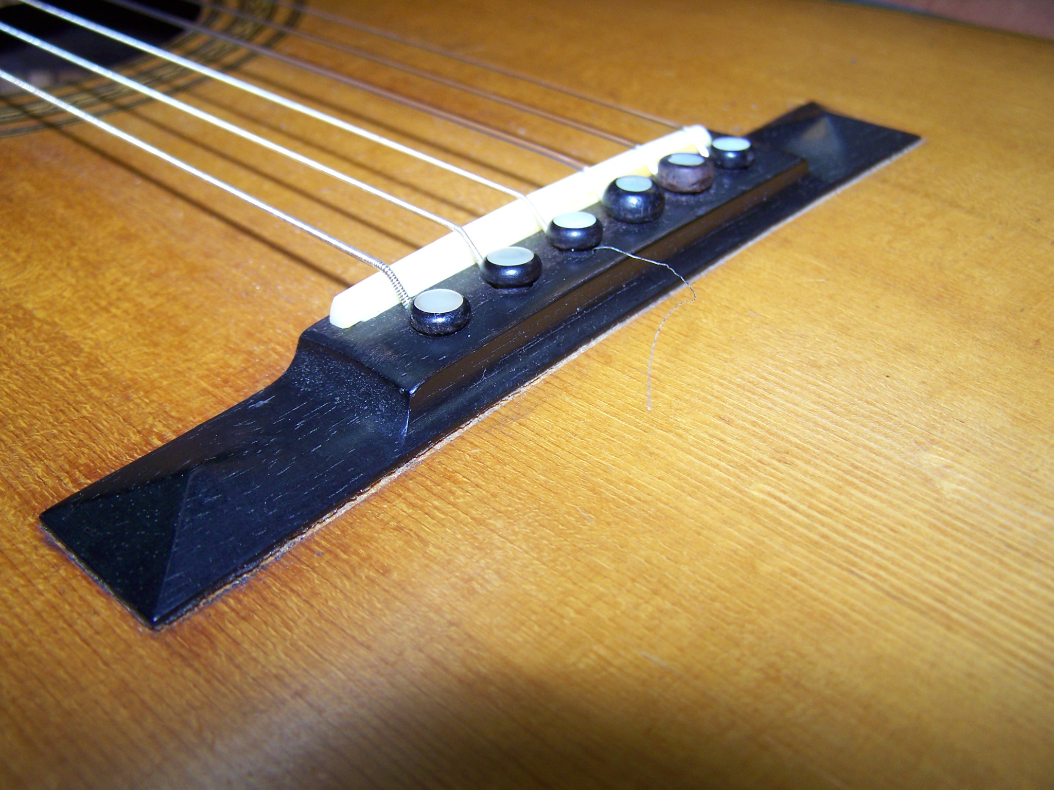 Steven Kovacik-Luthier"